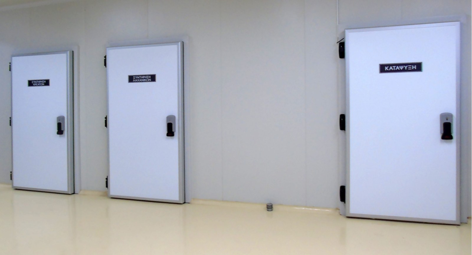 Hinged door for cold storage room | American Motors Pilalis (AMP)